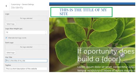 How To Change Site Title In WordPress In The Blink Of An Eye