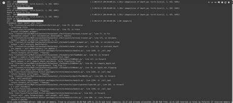 Issue With Validation Depth Data Processing Issue Tri Ml Packnet Sfm Github