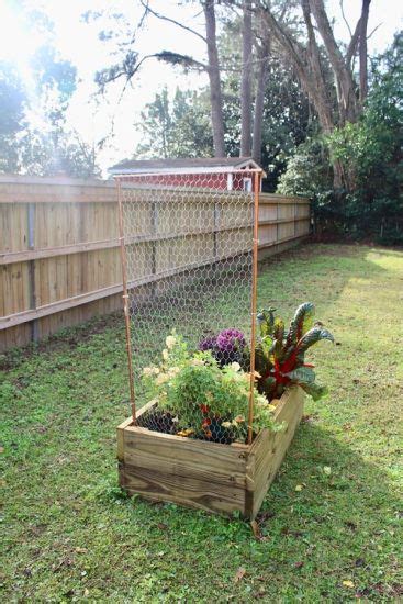 Easy And Cool DIY Bean Trellis Ideas Balcony Garden Web