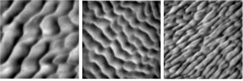 Height Map From Simulated Results Download Scientific Diagram