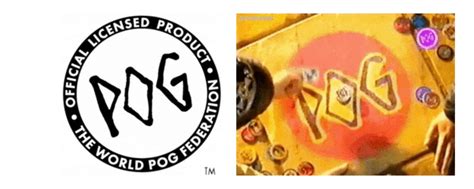 Whats In The Box The World Pog Federation Official Store