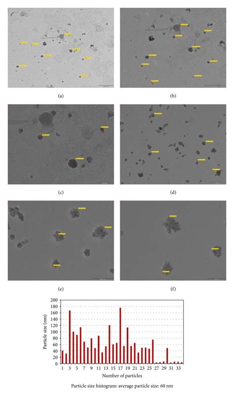 Tem Images Af Of Pd Ag Nanoparticles And Particle Size Histogram