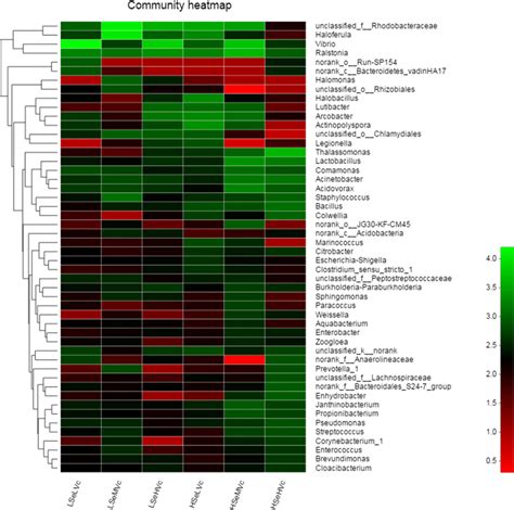 Heatmap Of Hierarchy Cluster Results For The Abundance Of Genus For Heatmap Of Hierarchy Cluster Results For The Abundance Of Genus For