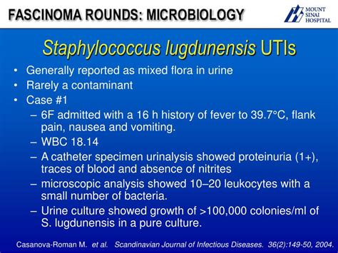 Staphylococcus Lugdunensis