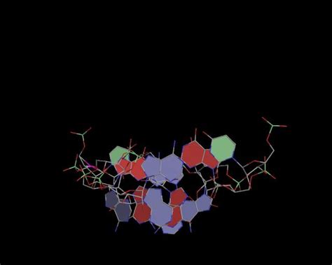 Rnajunction