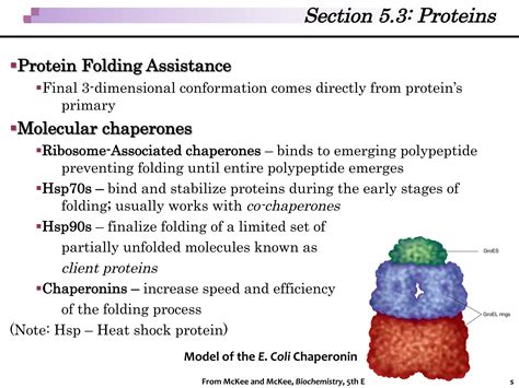 Peptides And Classification Of Peptides Slides Pdf