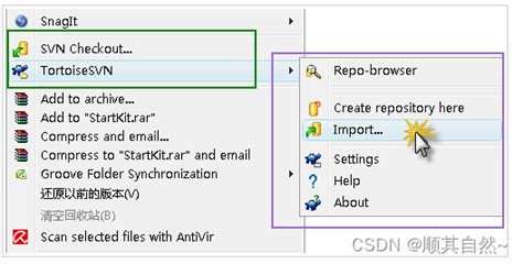 Visualsvn Server的配置和使用方法 Csdn博客