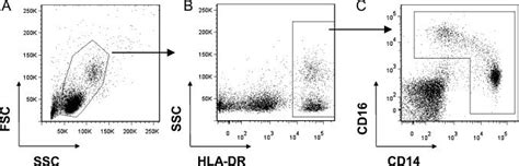 representative flow cytometry dot plots demonstrating the gating