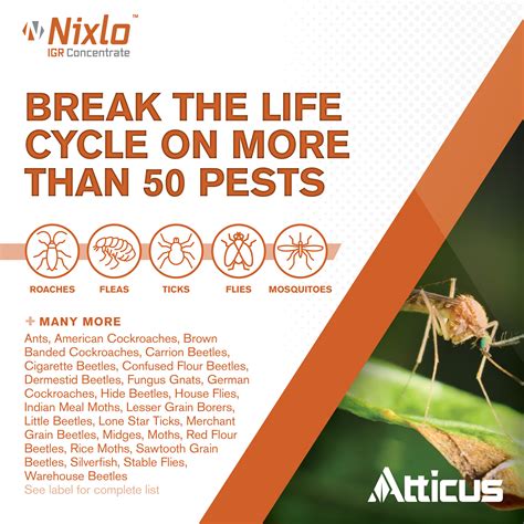 Nixlo Igr Concentrate