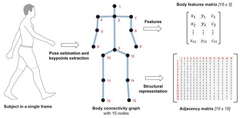 Gait Based Age Group Classification With Adaptive Graph Neural Network Deepai