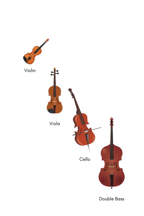 Understanding The Basics Of The String Family Mark Przybylowski