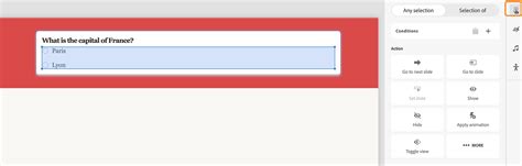 Add Radio Group Widget To An Adobe Captivate Project