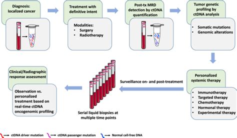 Detection Of Solid Tumor Molecular Residual Disease Mrd Using Circulating Tumor Dna Ctdna