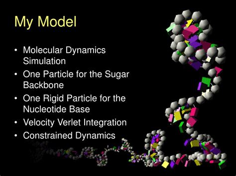Ppt Rna Folding Simulation Powerpoint Presentation Free Download