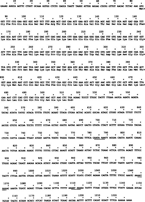 Figure 1 From Cloning And Expression Of A Cdna Encoding Human Sterol