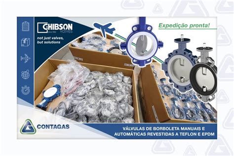 Fornecimento De Válvulas De Borboleta Manuais E Automáticas Teflon E