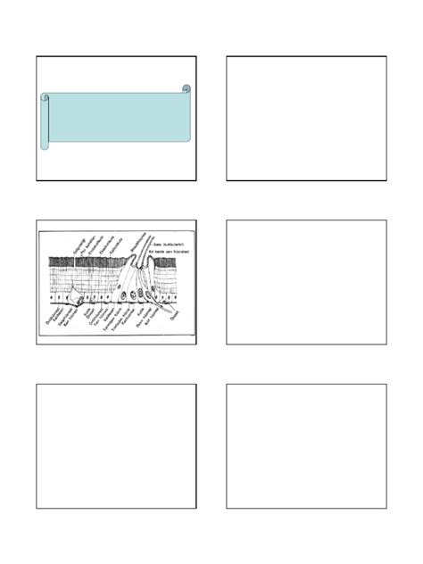 2929 Entomoloji Morfoloji Pdf