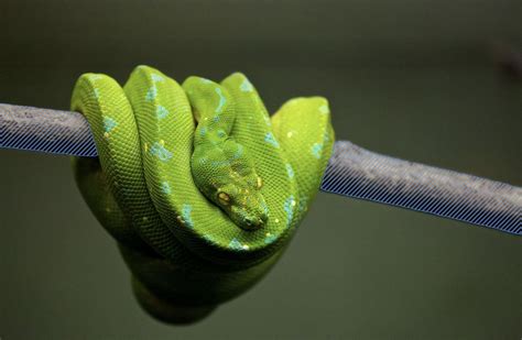 Affinity Photo 2 How To Use Ai Object Selection Tool