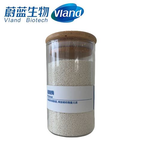 China Customized Phytase Free Sample