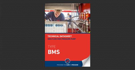 Bms Datasheet Page 2