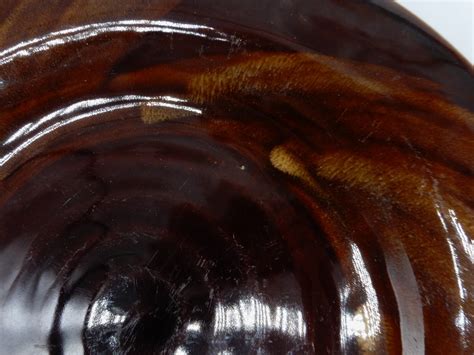 Target Home Stoneware Tortoise Shell Rimmed Bowls And Dinner Plates Ebay