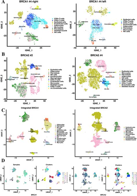 Signaling Pathway Alterations Driven By Brca1 And Brca2 Germline Signaling Pathway Alterations Driven By Brca1 And Brca2 Germline