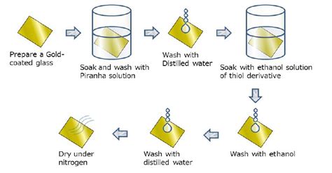 Creative Diagnostics Releases New Self Assembled Monolayers Reagents For Science Research
