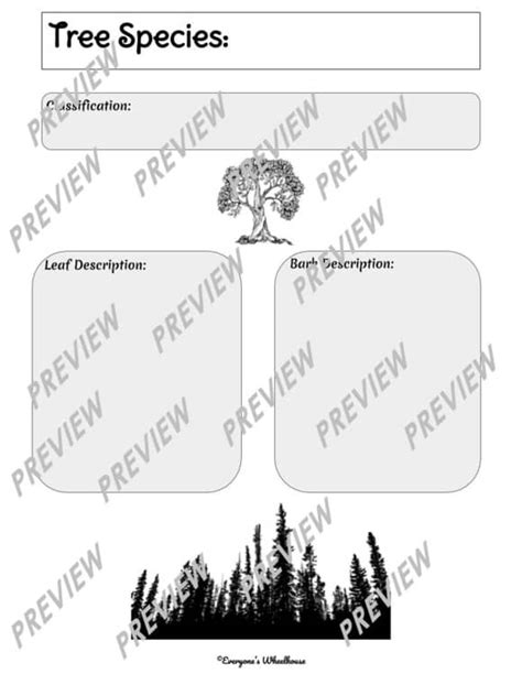 Tree Infographic Template Research And Classification Graphic Organizer
