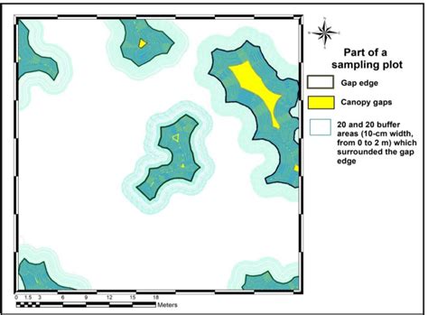 Figure A 17 Map Of A Portion Of A Sampling Plot Showing 40 Buffer