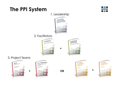 How Practical Process Improvement PPI Works This Is Your Improvement Programme