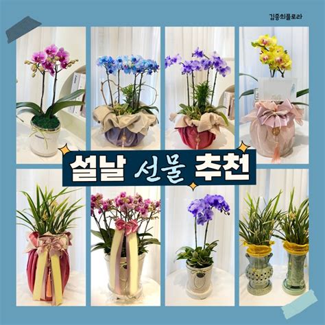설 명절 꽃배송 대구서양난 상견례 보자기포장 수성구 꽃바구니 설날선물 추천 네이버 블로그