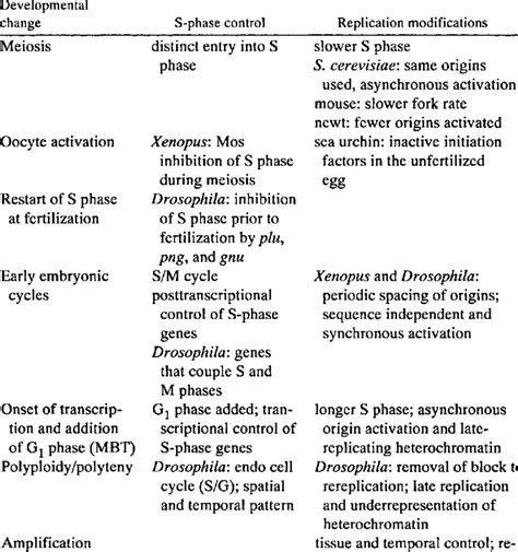 Alterations In Regulation Of Dna Replication During Development