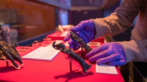 Preserving History Museums Objects And Artefacts Removed For Safe