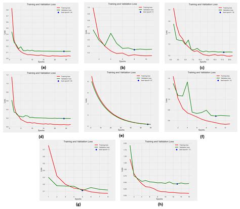 Wheat Leaf Disease Detection A Lightweight Approach With Shallow Cnn Based Feature Refinement