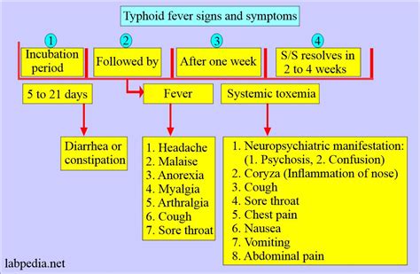 Salmonella Signs Symptoms And Complications Salmonella Infection