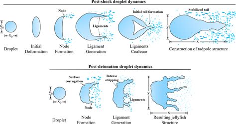 Droplet Deformation Morphologies For The Shock And Detonation Cases Download Scientific