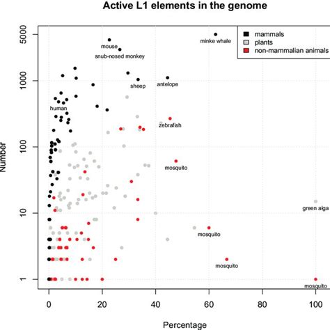 Inferred Tree Of Life Phylogenetic Inference Of The Genomic Dataset Download Scientific