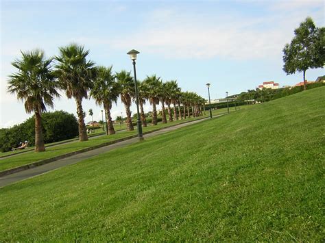 Lie Down On The Grass Please Free Photo Download Freeimages