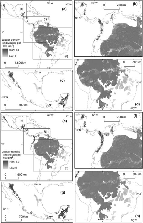 Jaguar Densities Across The Species Range According To Our Lower A Download Scientific