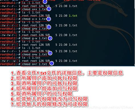 Kali与shell编程 文件权限修改【一】kali修改文件权限 Csdn博客 Kali与shell编程 文件权限修改【一】kali修改文件权限 Csdn博客