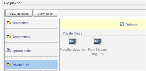 Filefiles File Picker Private Files 1png Moodledocs