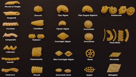 Pasta Shells Italian Name At Donald Hayden Blog