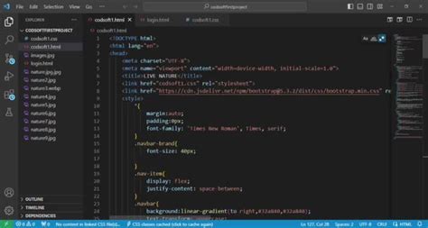 codsoftinternship codsoft webdevelopment harish sivakumar