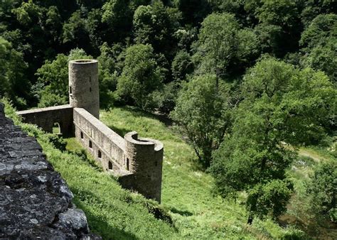 Premium Photo Built Structure In Forest