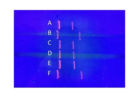 Ppt A B C D E F Powerpoint Presentation Free Download Id