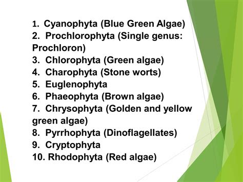 Classification Of Algaepdf