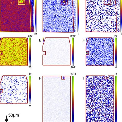 Representative Chemical Maps The Square Pixels Of The Rbs And Erda