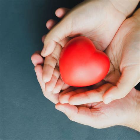 How To Improve Your Cholesterol Levels Glenville Nutrition Clinic