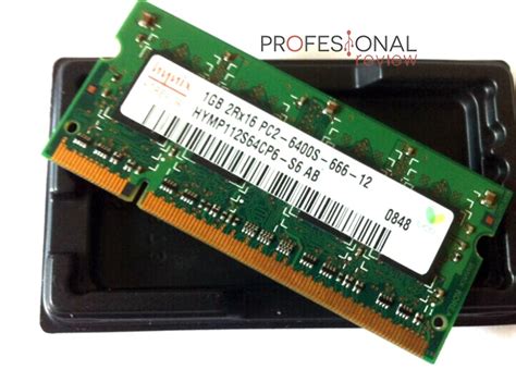 Dual Rank vs Single Rank Qué diferencias hay