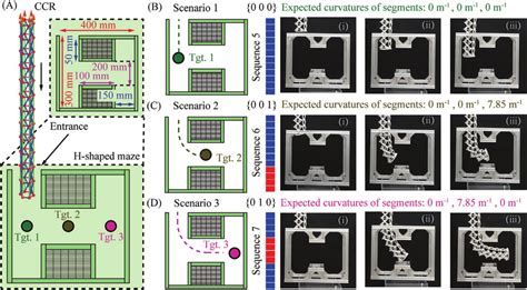 Inspecting Specific Targets In An H Shaped Maze By The Continuum Robot Download Scientific